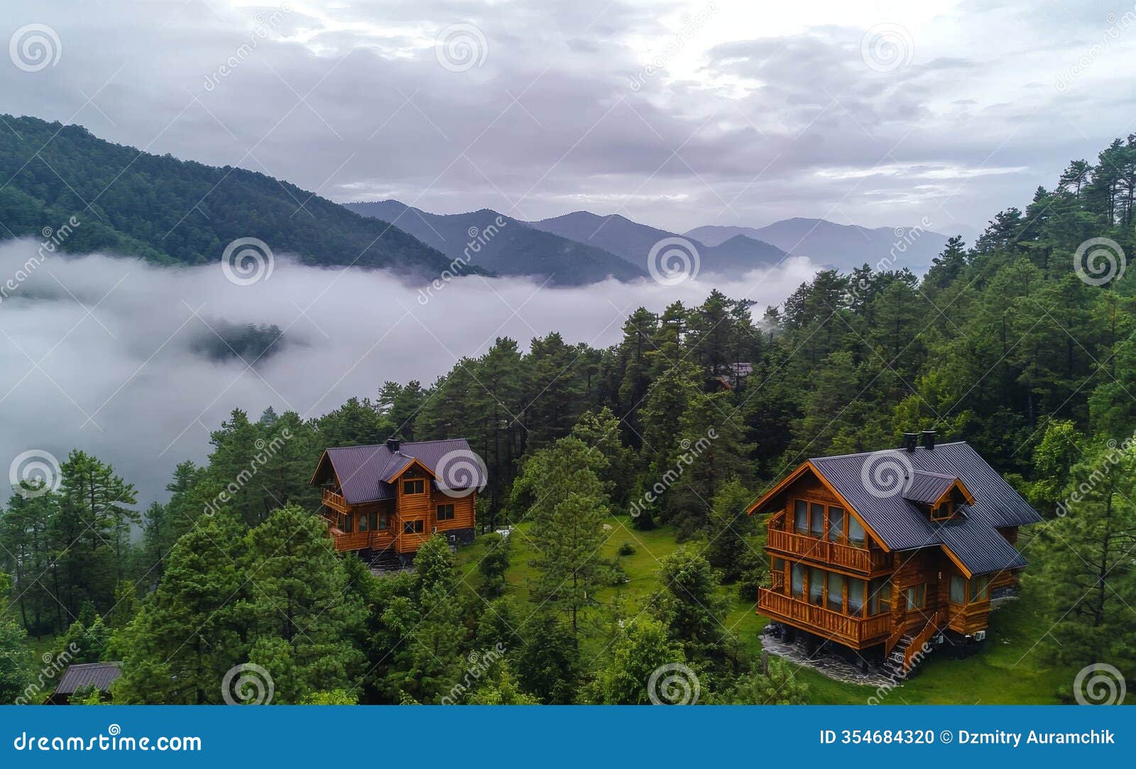 A Prosperous Tree Planting Project that Emphasizes CO2 Absorption ...