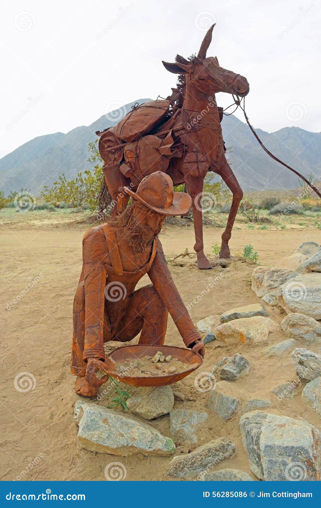 Prospetor & Mula Do Bloco - Escultura Do Metal Foto de Stock - Imagem ...