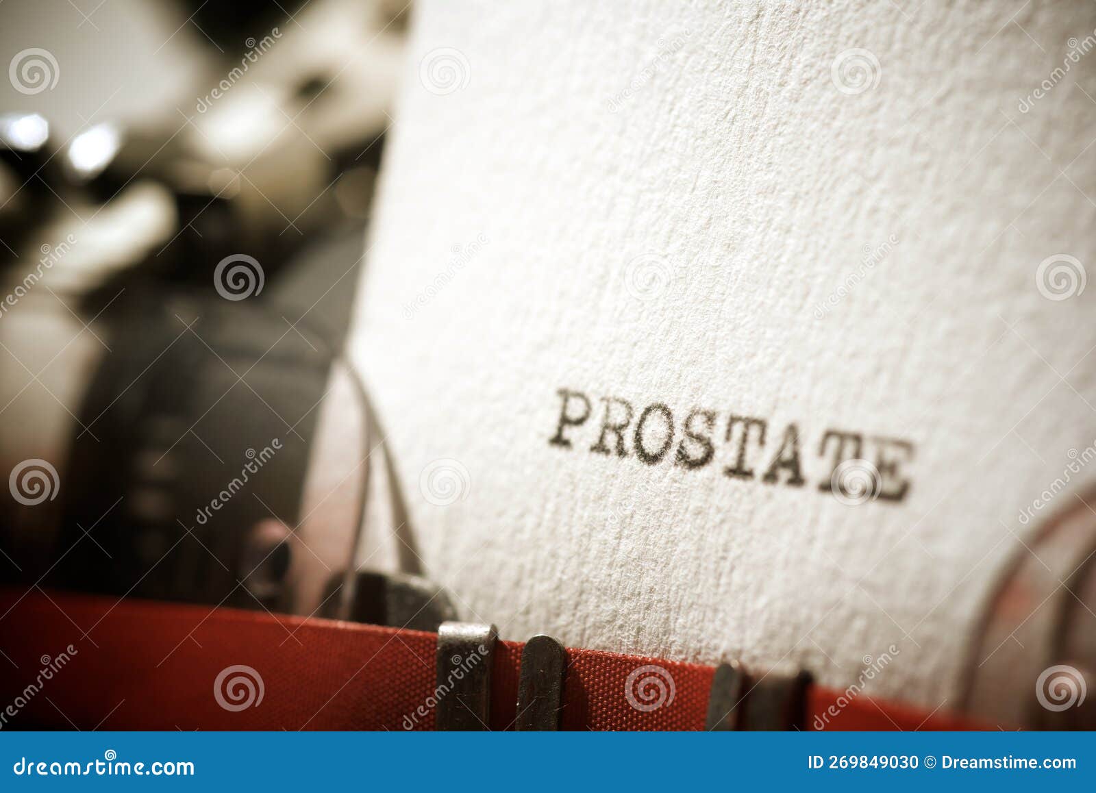 Prostate concept view stock photo. Image of message - 269849030