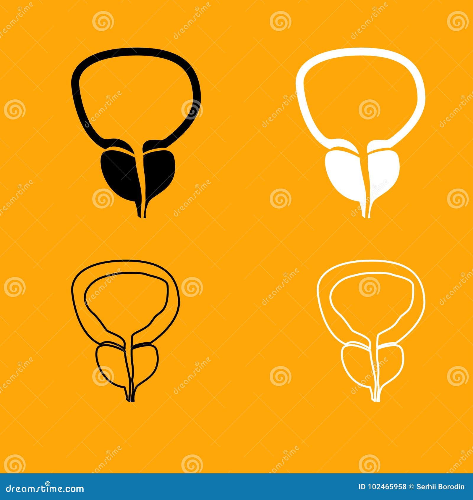 The Prostate Gland and Bladder Set Icon. Stock Vector - Illustration of ...