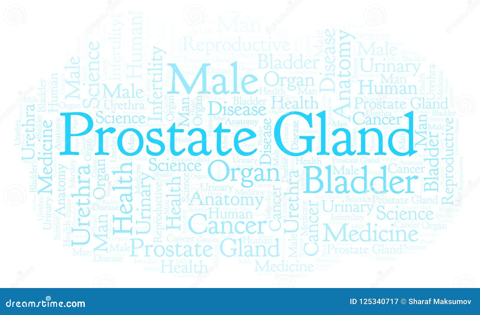 Prostate Gland word cloud. stock illustration. Illustration of health ...
