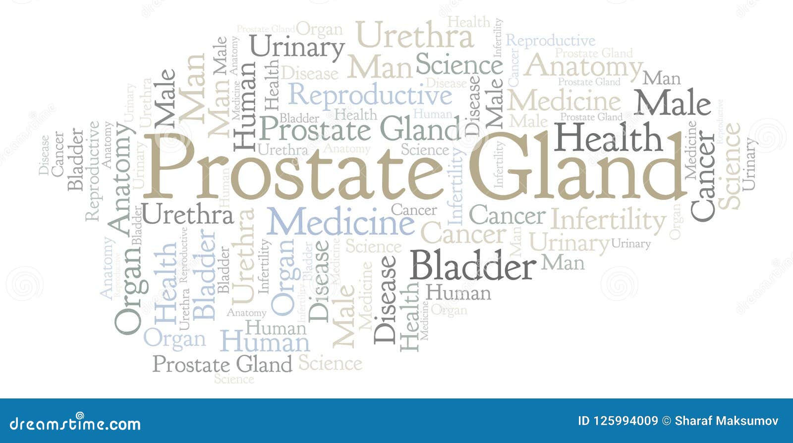 Prostate Gland word cloud. stock illustration. Illustration of urinary ...