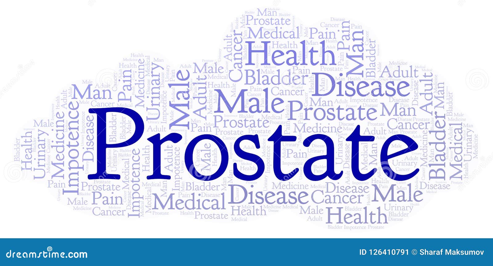 Adult Prostate, Life Size In The Old Book D`Anatomie Chirurgicale, By B ...