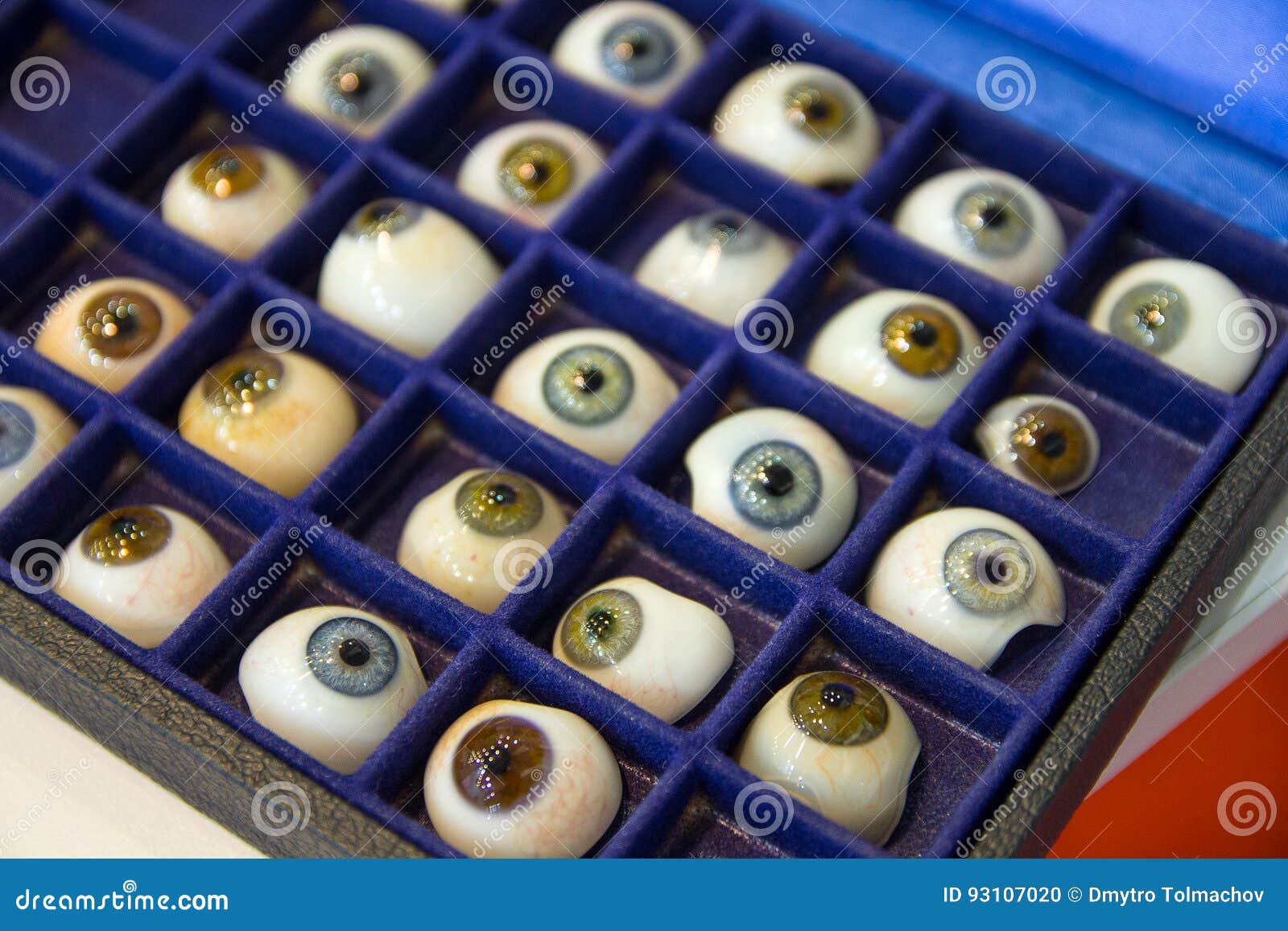 Prosthetic Eyes with Pupils of Different Colors on the Stand Stock ...