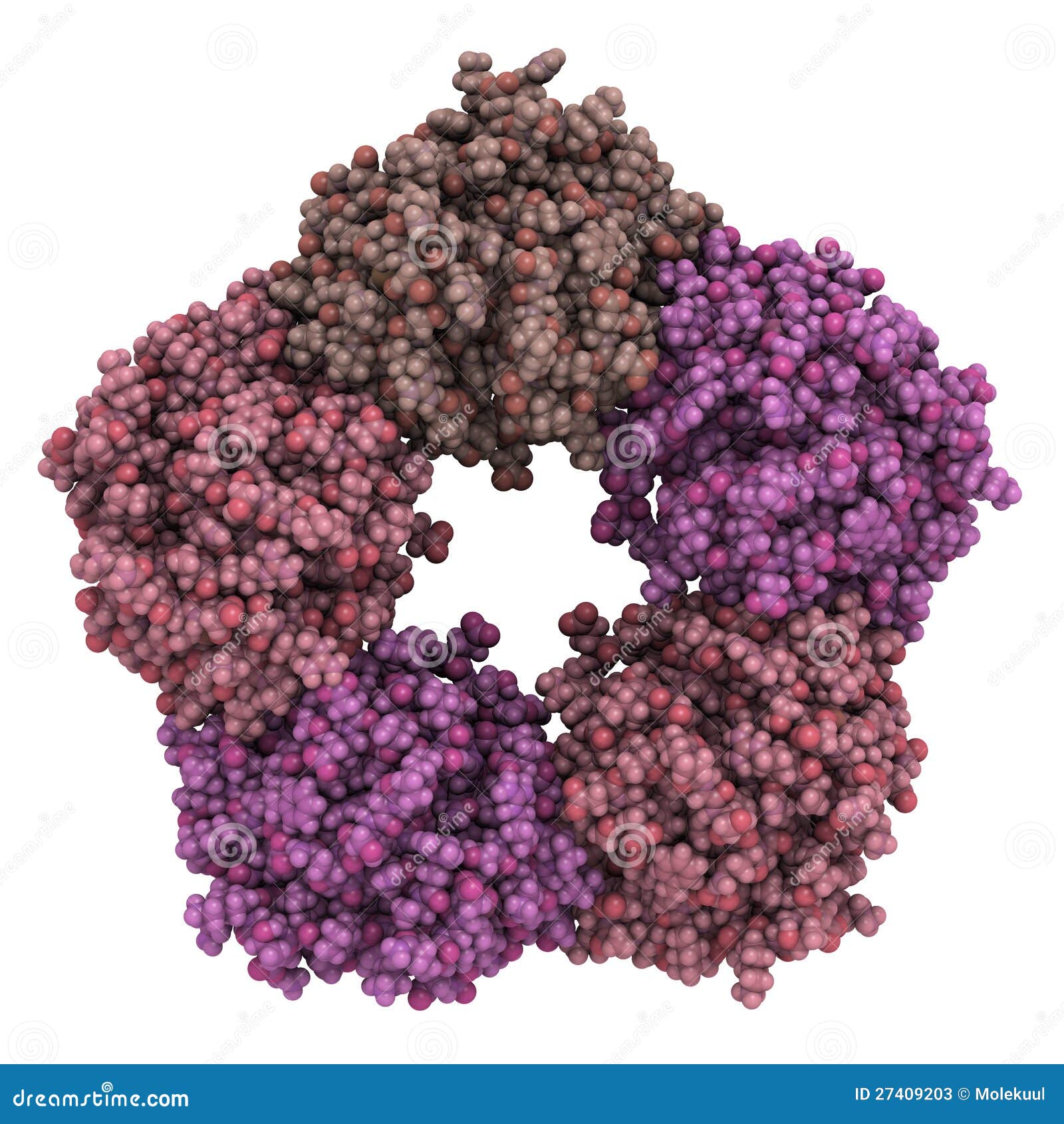 Proteína C-reactiva Humana (CRP) Imagen de archivo - Ilustración de ...