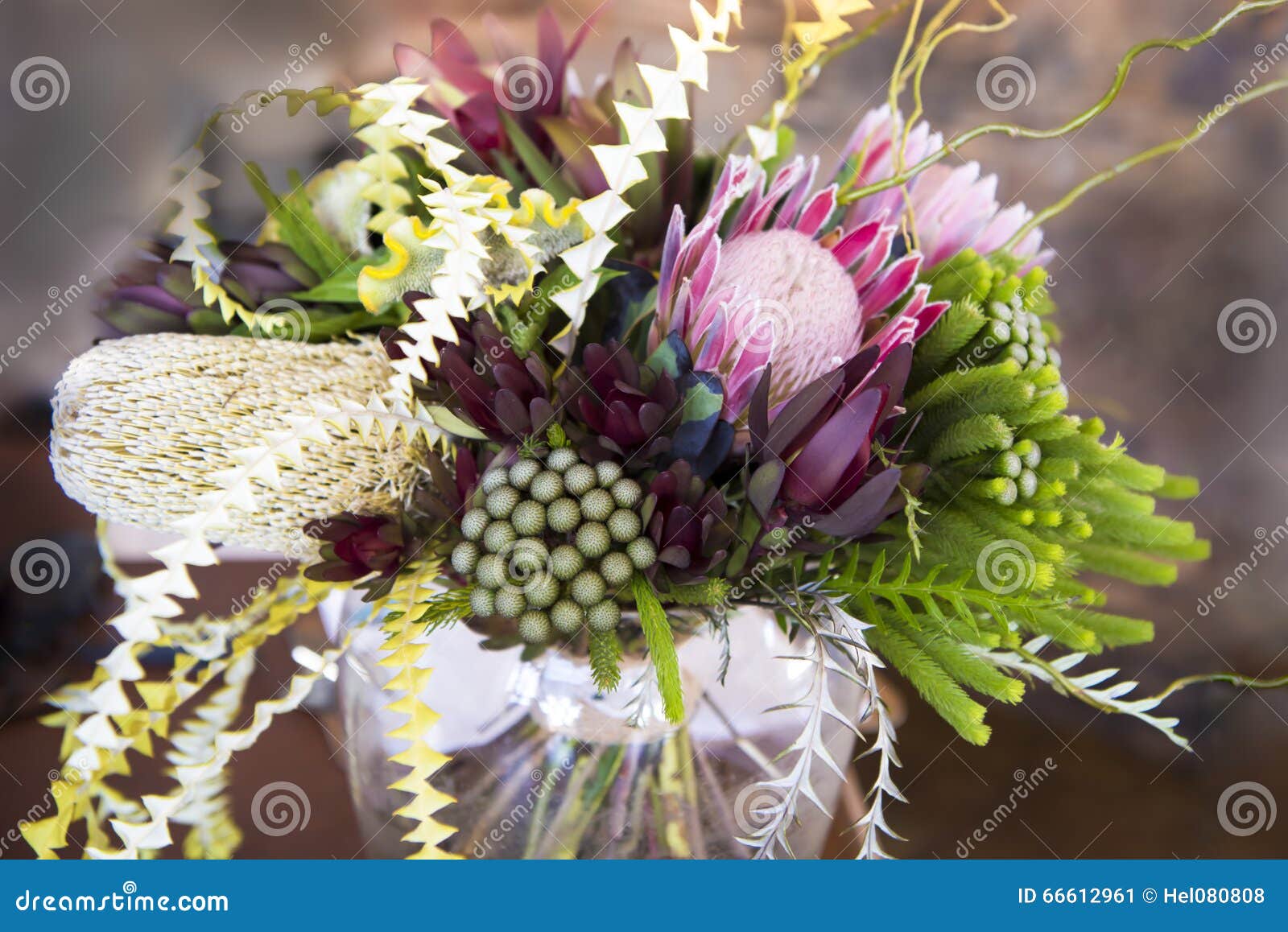 Protea bouquet stock image. Image of bloom, protea, africa - 66612961