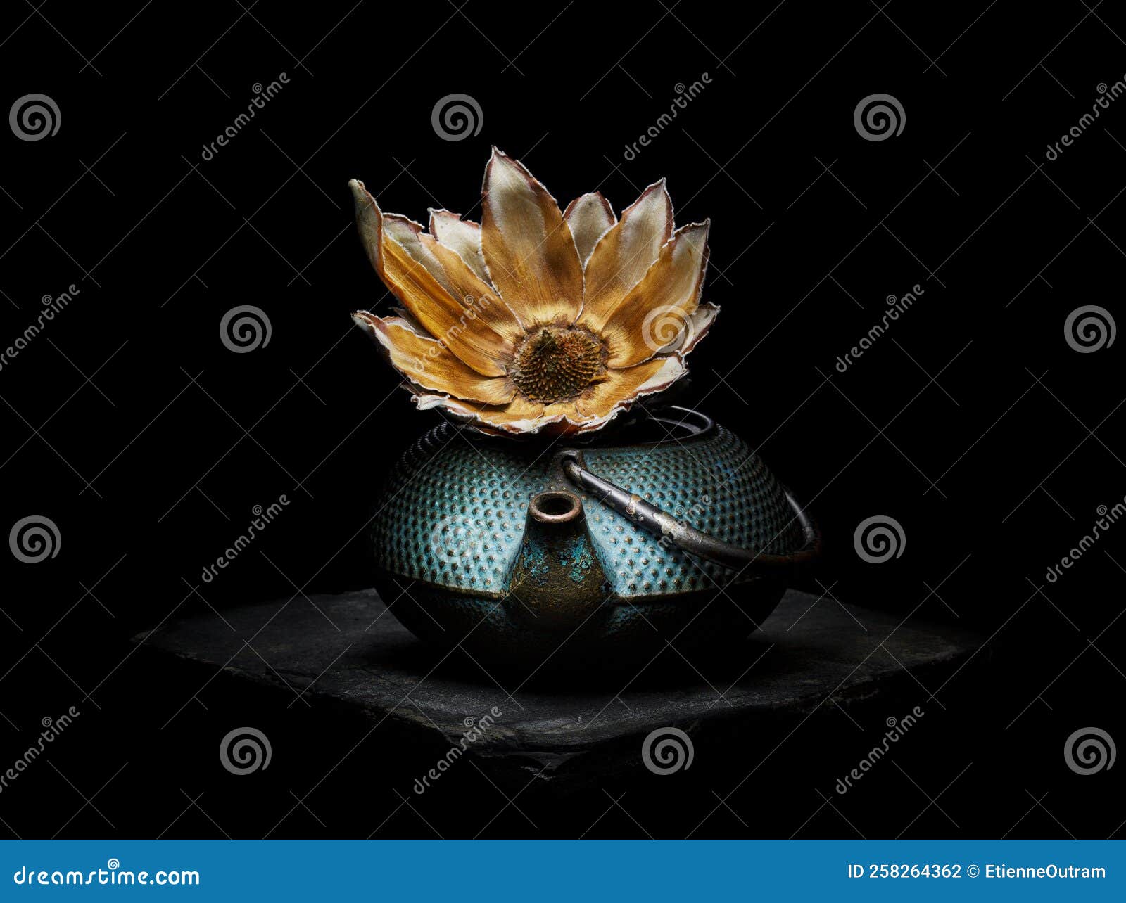 Protea in a Chinese Teapot Front View Stock Photo - Image of castiron ...