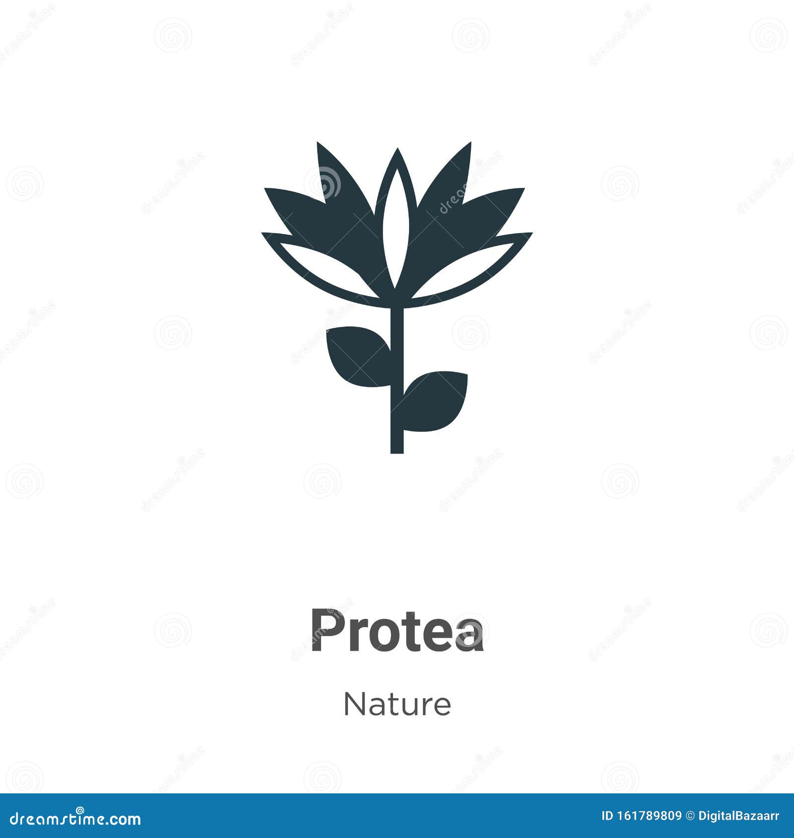 Protea Vector Icon on White Background. Flat Vector Protea Icon Symbol ...