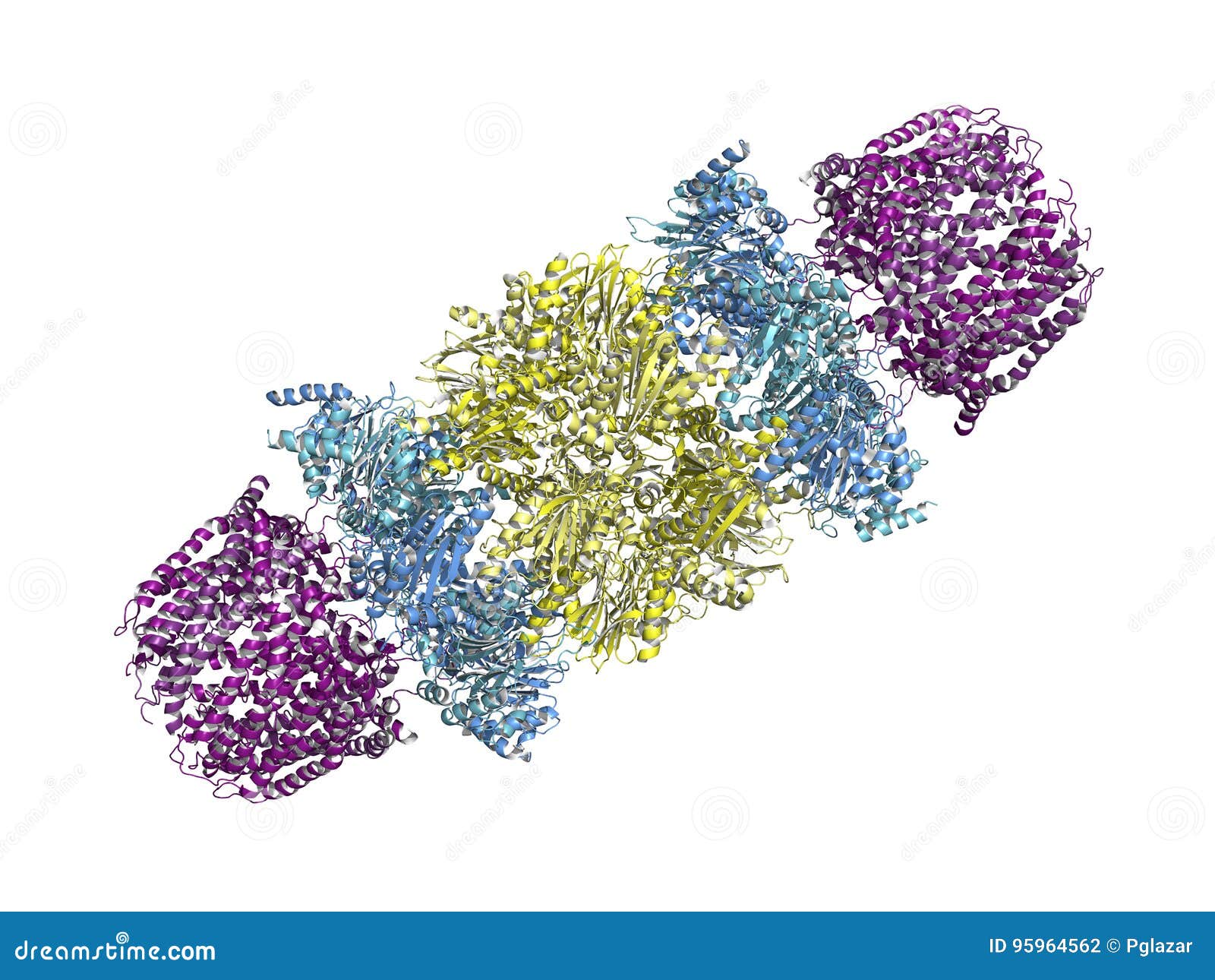 Proteasome model stock illustration. Illustration of chemistry - 95964562