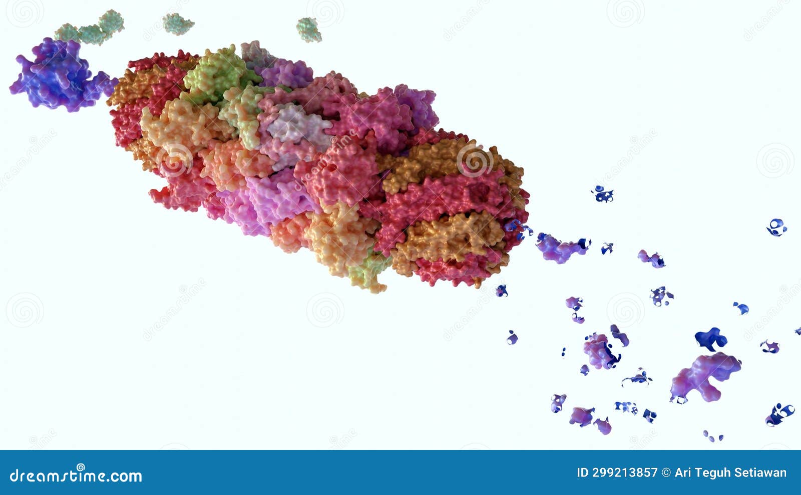 Proteasomes is Breaking Down Protein Molecule Stock Illustration ...