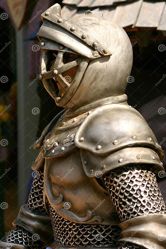 Protect the Castle stock photo. Image of soldier, security - 916638