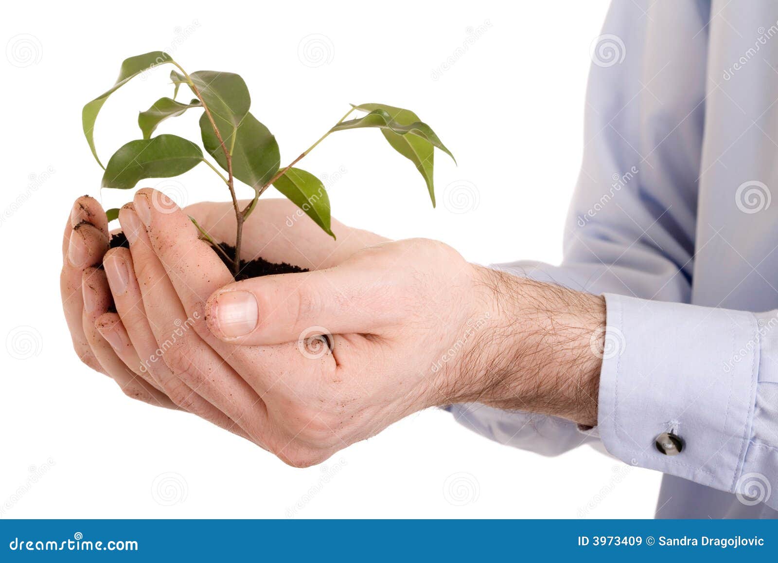 Protect environment stock image. Image of concepts, giving - 3973409