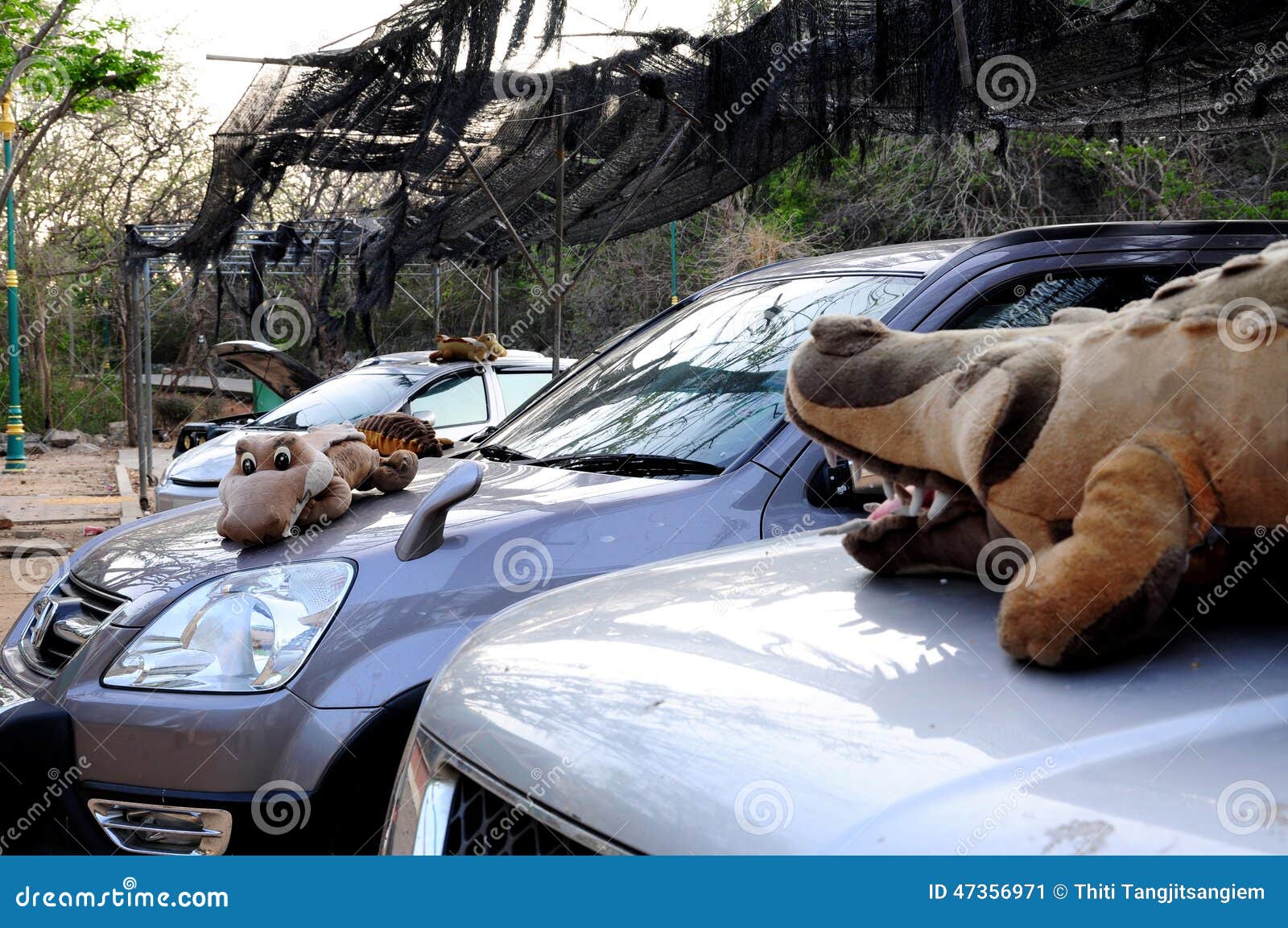 Protect monkey stock image. Image of thai, monkey, methoding - 47356971