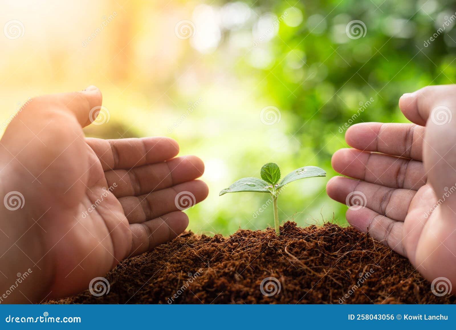Protect Nature and Environment Concept Stock Photo - Image of concept ...