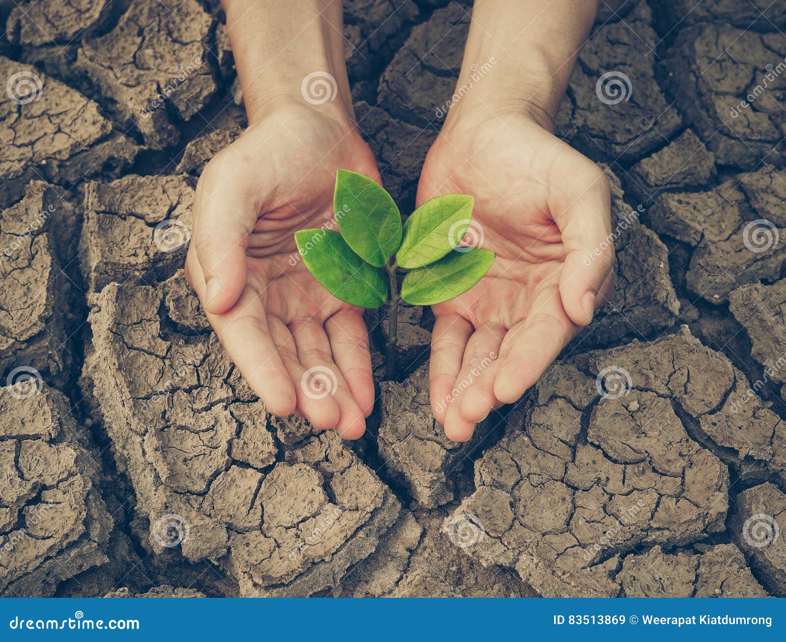 Protect nature stock image. Image of grow, earth, global - 83513869