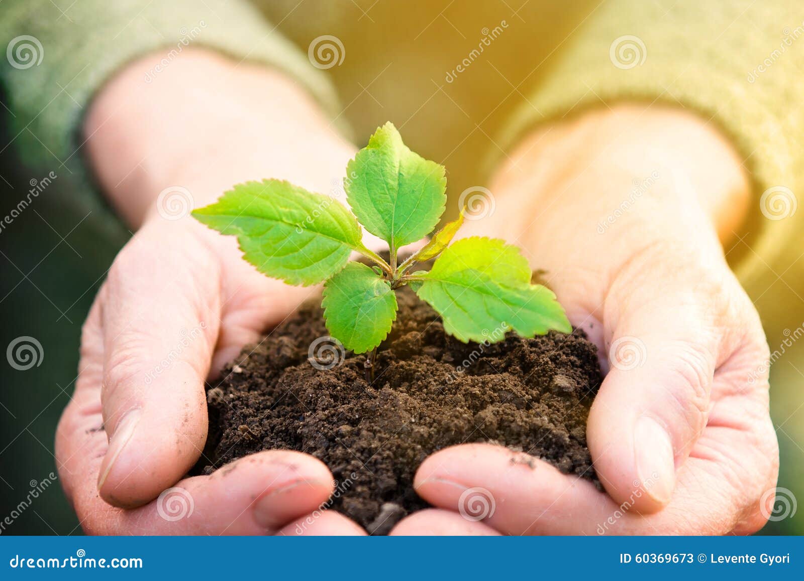Protect your environment stock image. Image of earth - 60369673