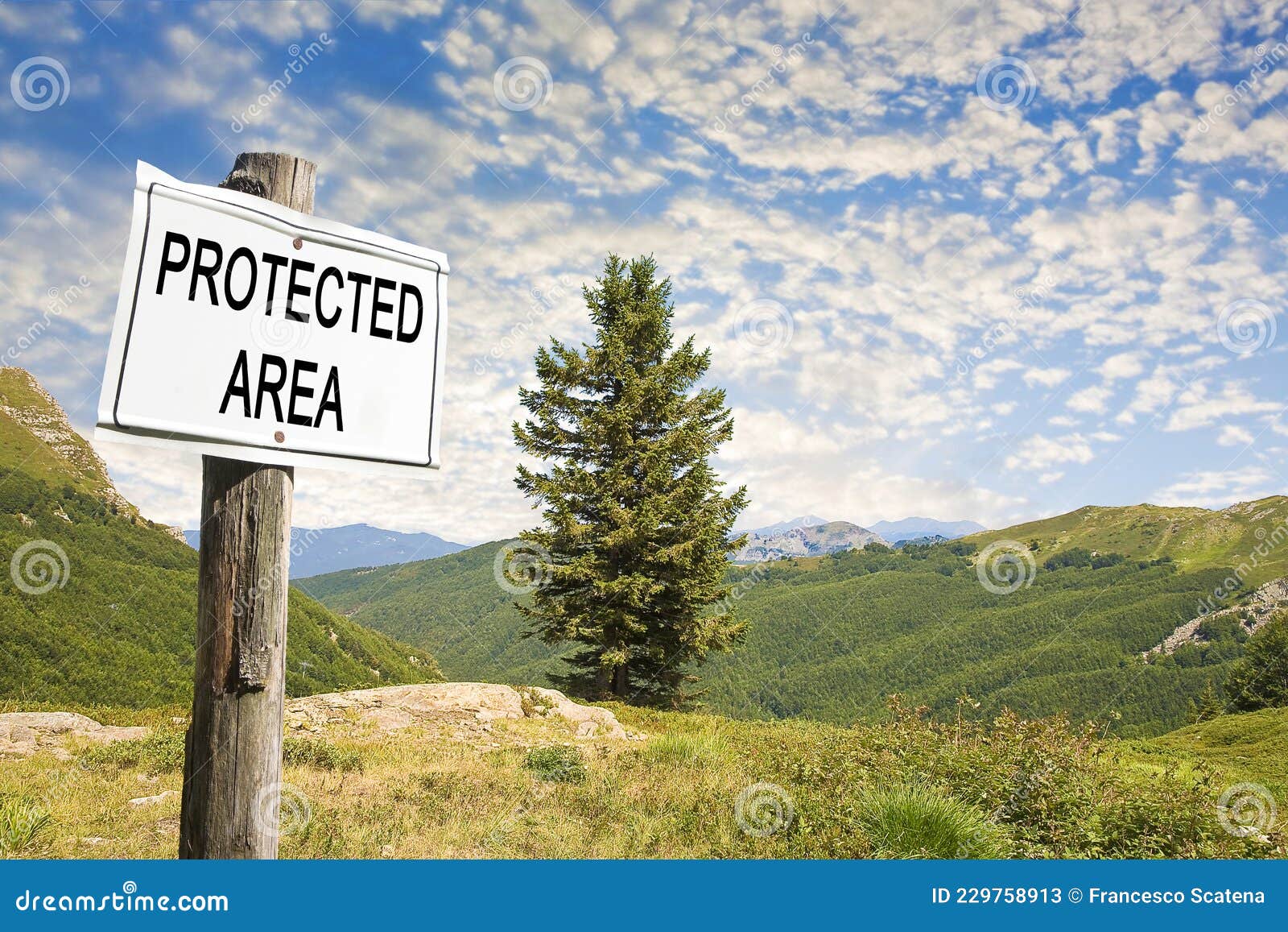 Protected Area in the Mountains Written on a Field Sign - Sign ...