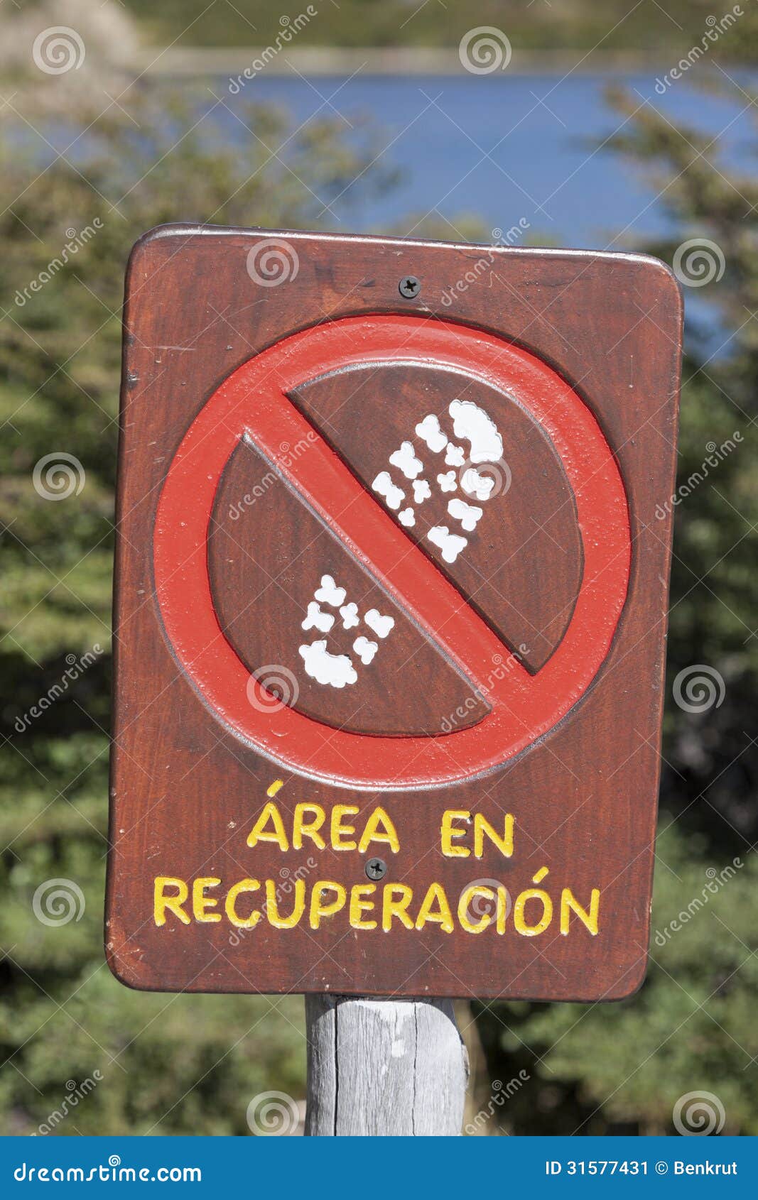 Protected area sign stock image. Image of tree, patagonia - 31577431