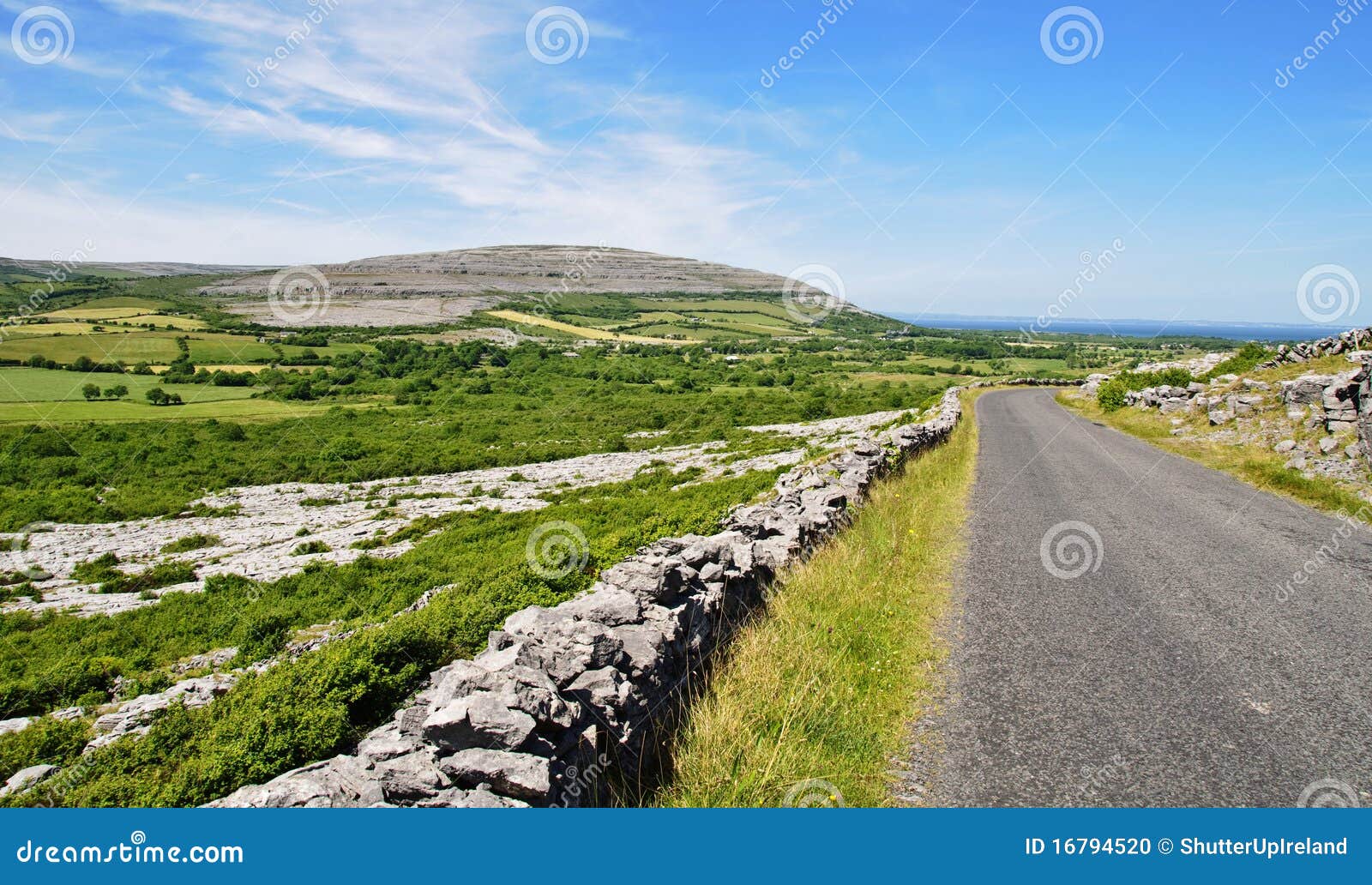 Protected Burren Limestone Landscape West Ireland Stock Photo - Image ...