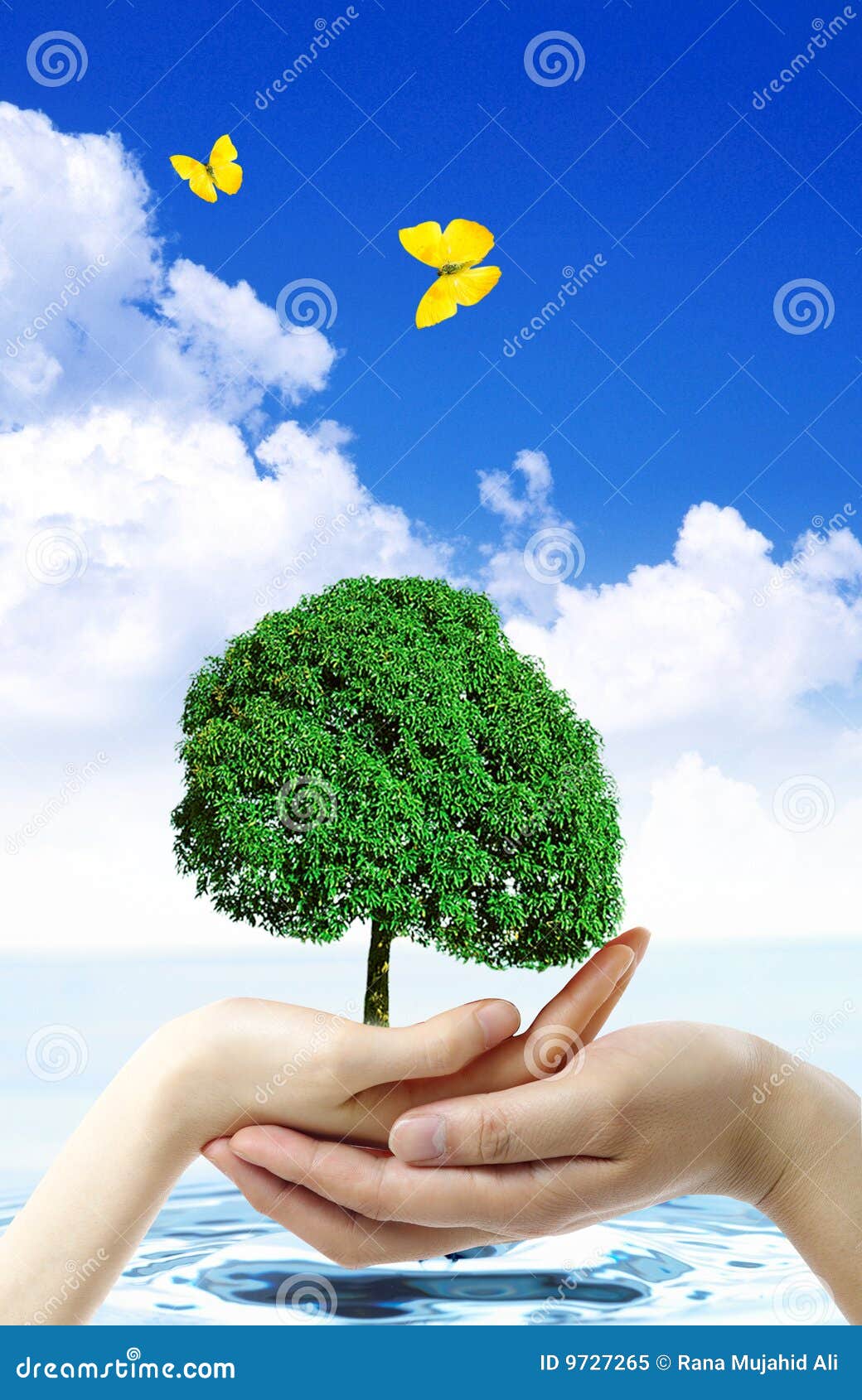 Protected environment stock image. Image of green, nature - 9727265