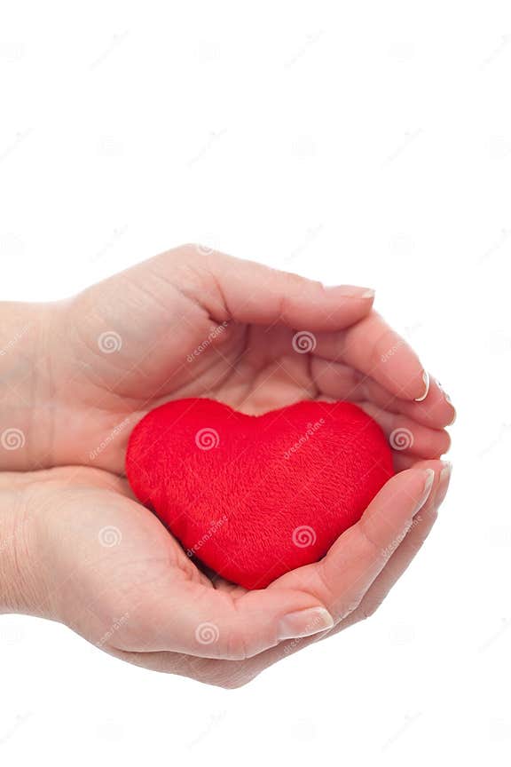 Protected heart stock photo. Image of concept, care, health - 28853528