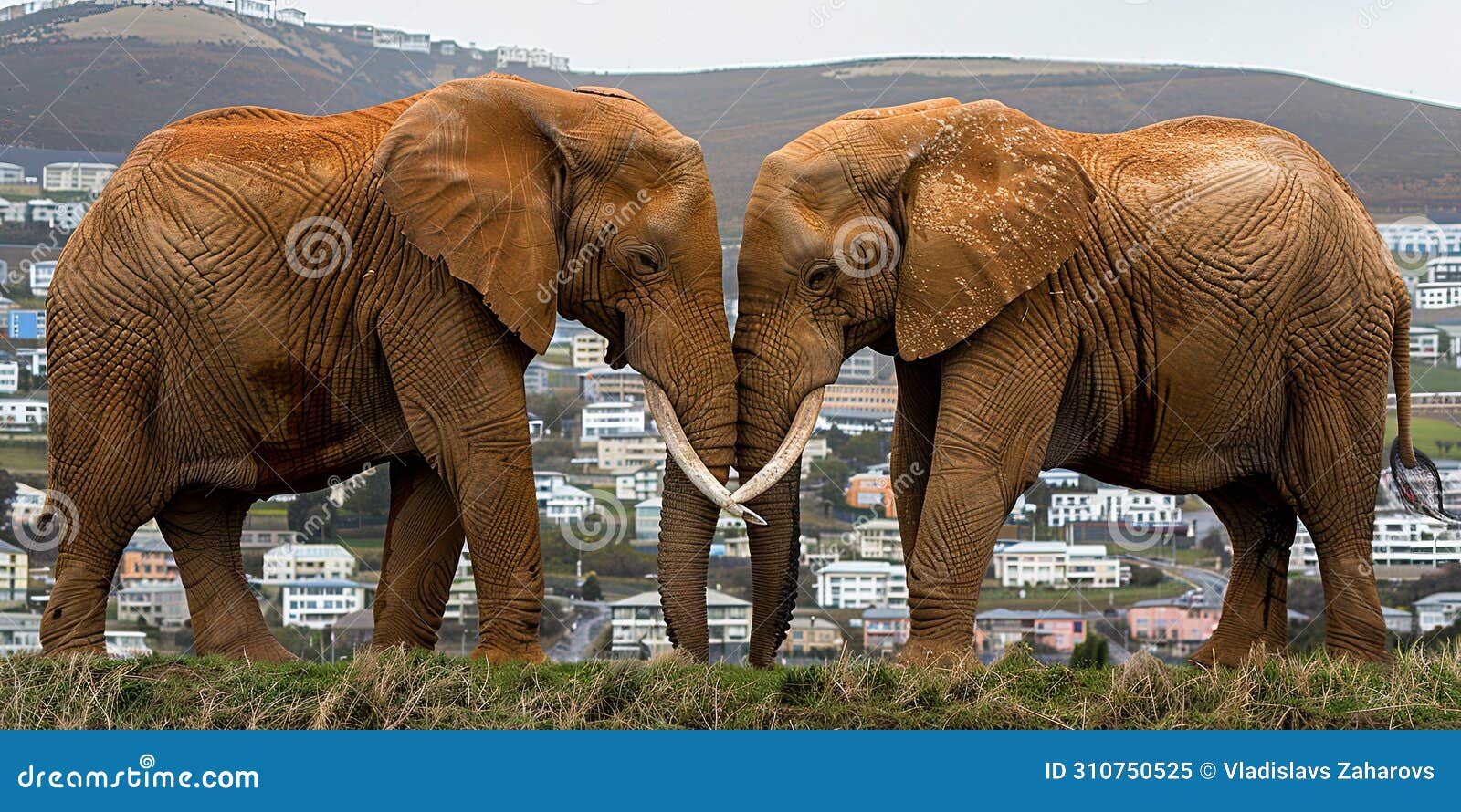 Protected Natural Reserves with Unique Ecosystems and Animals ...