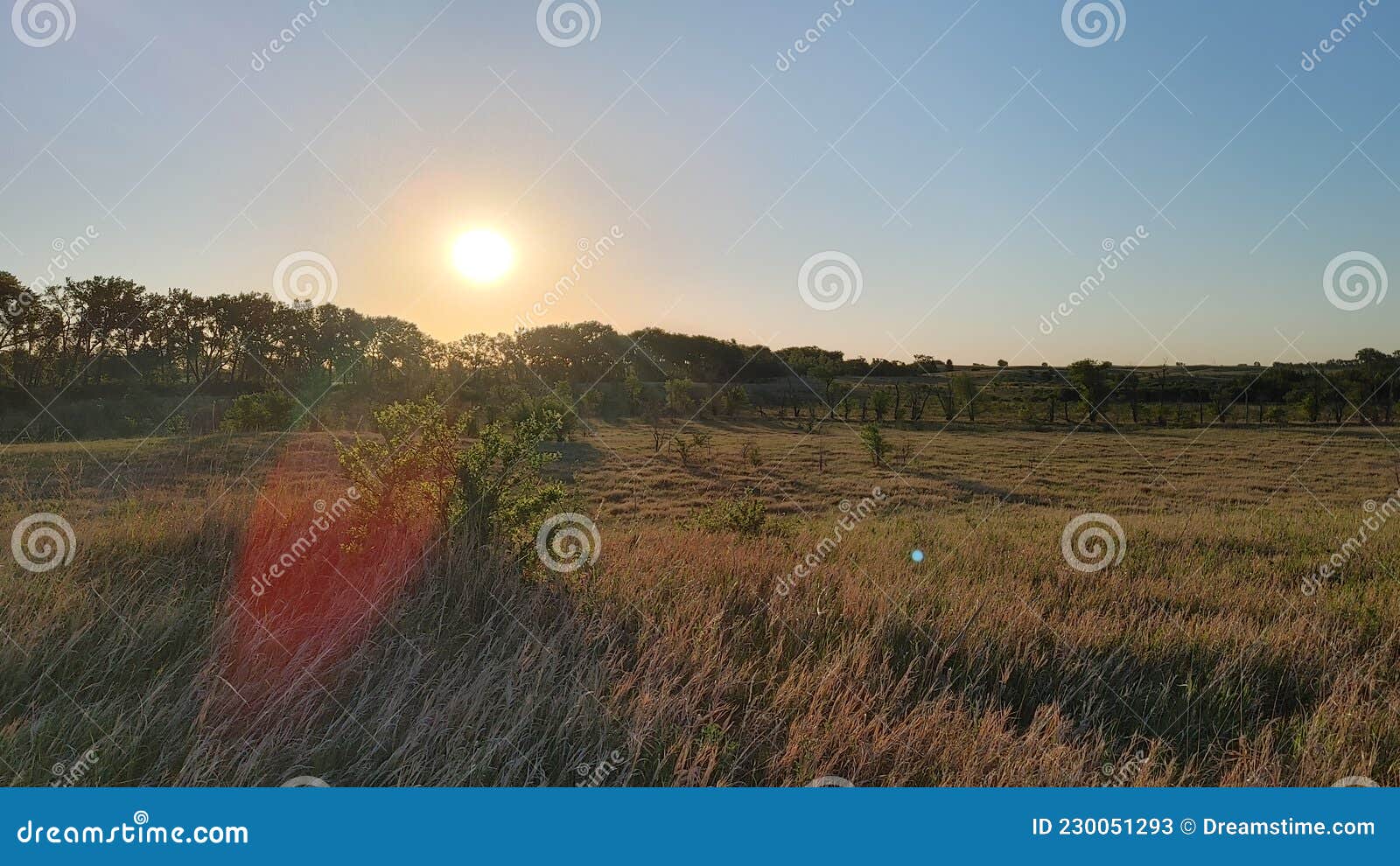 Protected Prairie North Soul Stock Image - Image of prairie, sunlight ...