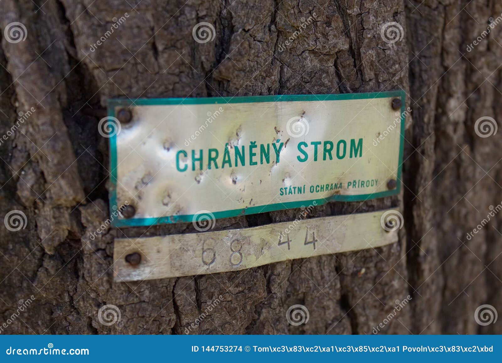 Protected Tree Sign in Czech Language on Bark Editorial Stock Image ...
