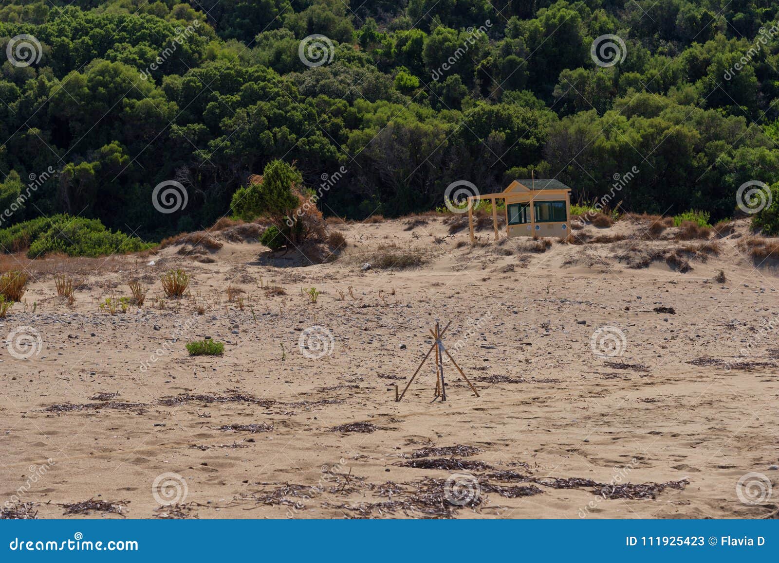 A Protected Turtle Nest on the Beach on the Turtle Island, Zakynthos ...