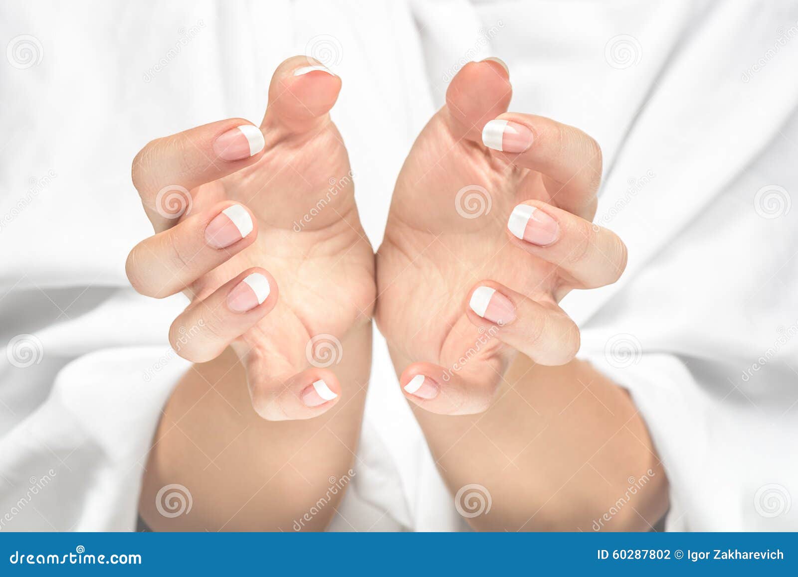 Protecting hands. stock photo. Image of adult, empty - 60287802