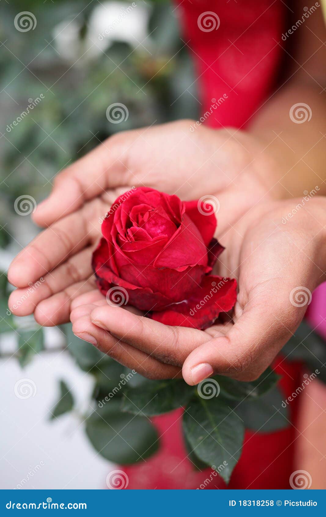 Protecting love stock photo. Image of help, beautiful - 18318258