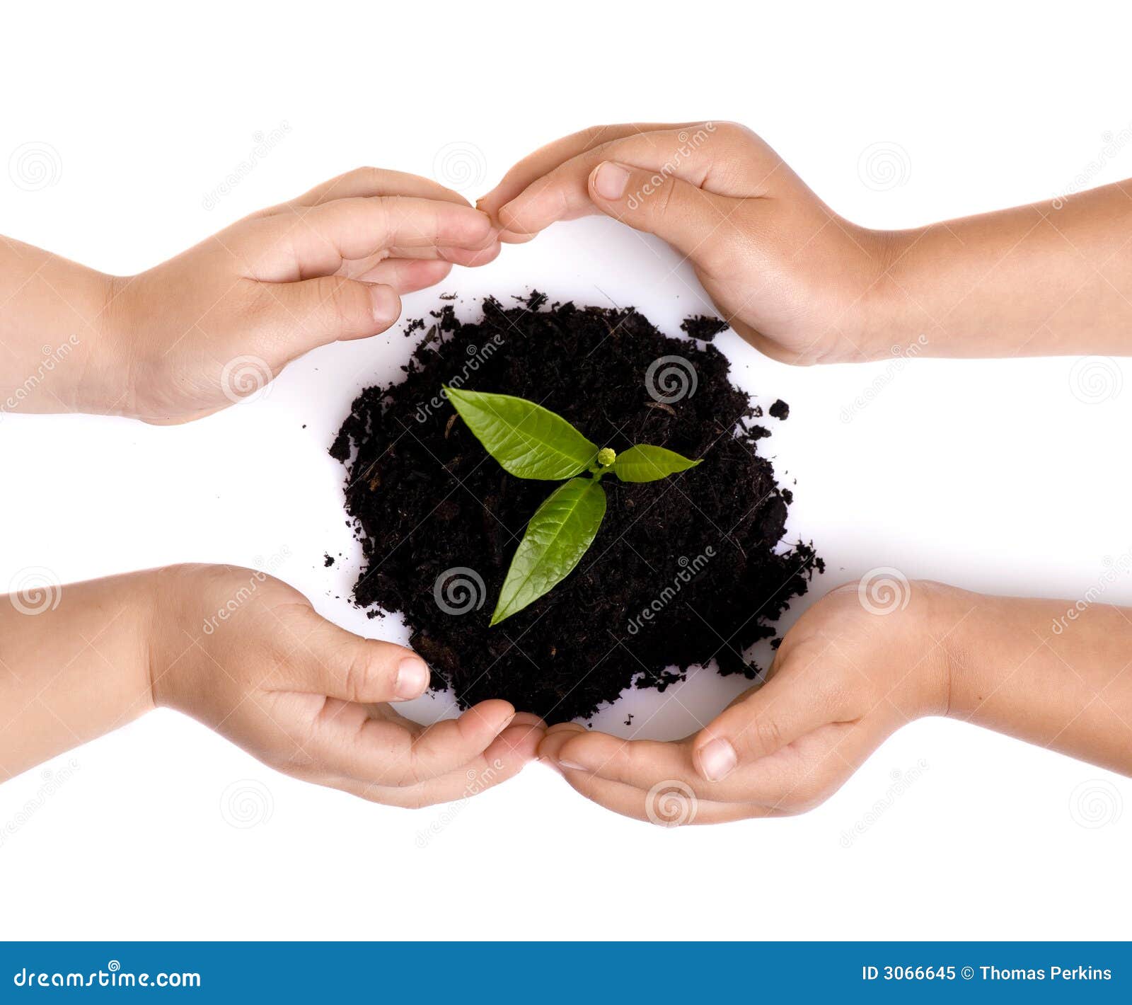 Protecting our Environment stock image. Image of fragile - 3066645