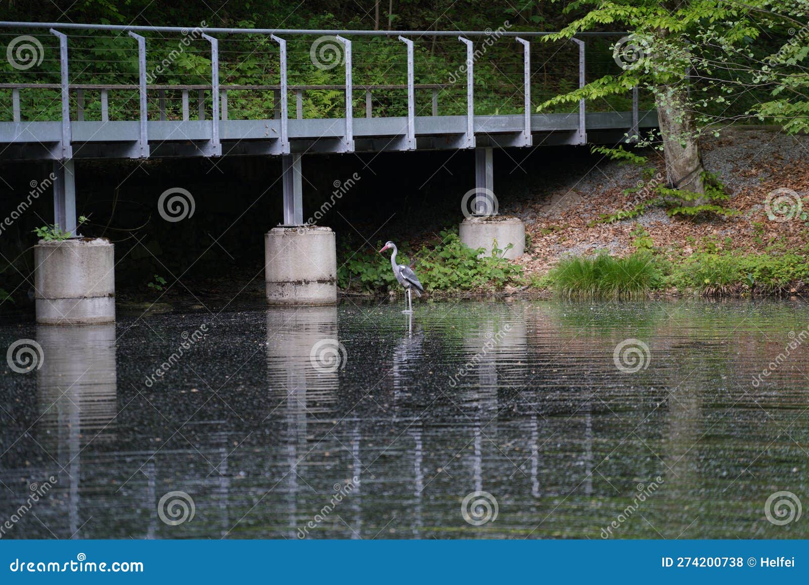Protecting Water is Important in the Climate Catastrophe and Global ...