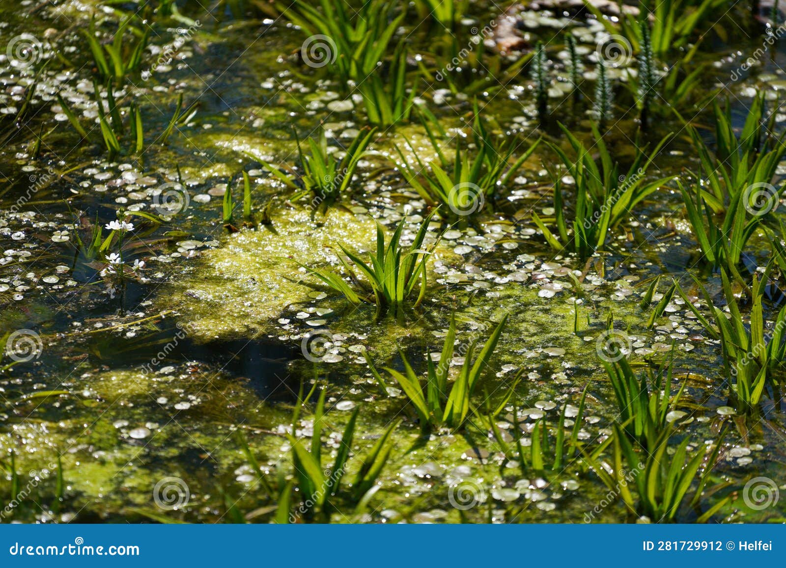 Climate Catastrophe,air Pollution Royalty-Free Stock Photography ...