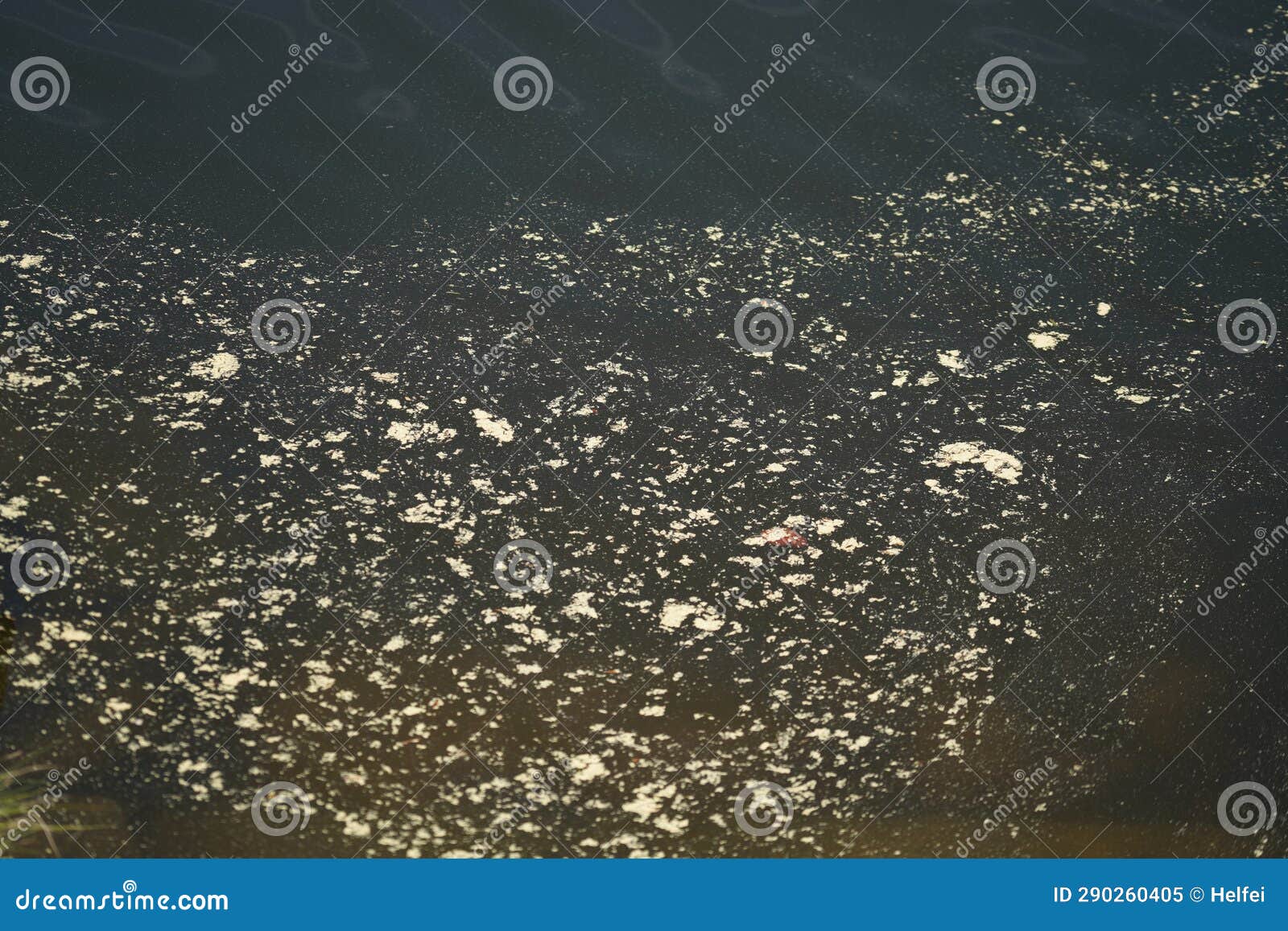 Protecting Water is Important in the Climate Catastrophe and Global ...