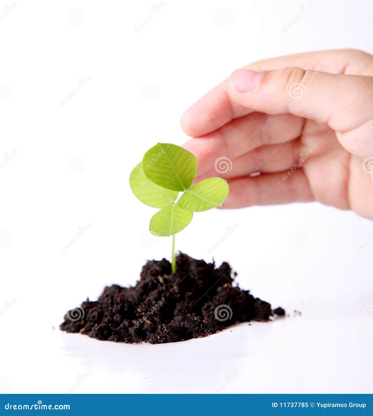 Protection stock image. Image of earth, concepts, gardening - 11737785