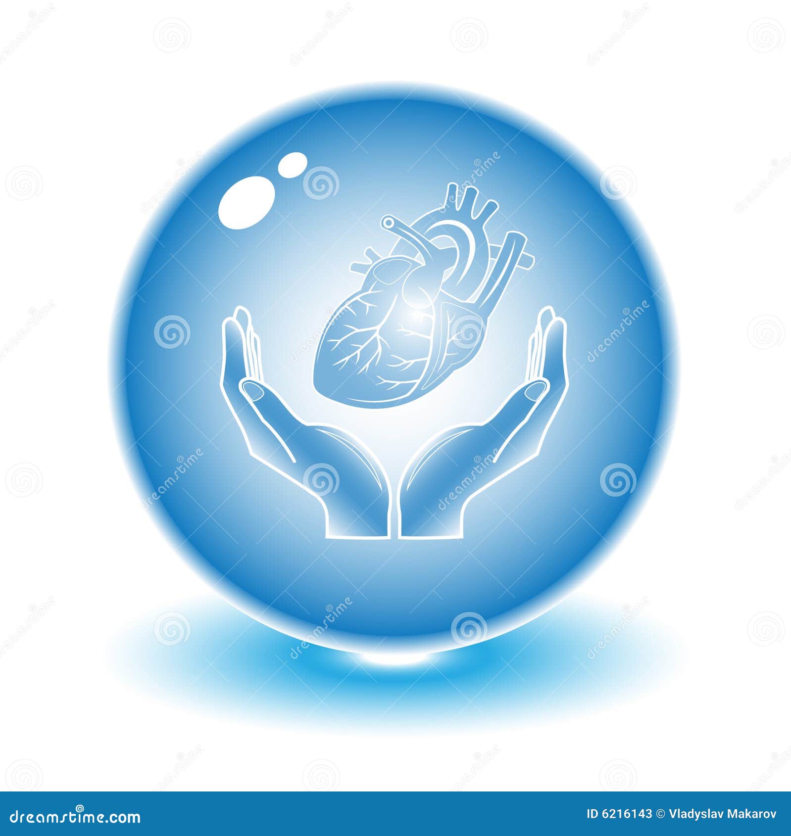 Protection of heart stock vector. Illustration of medical - 6216143