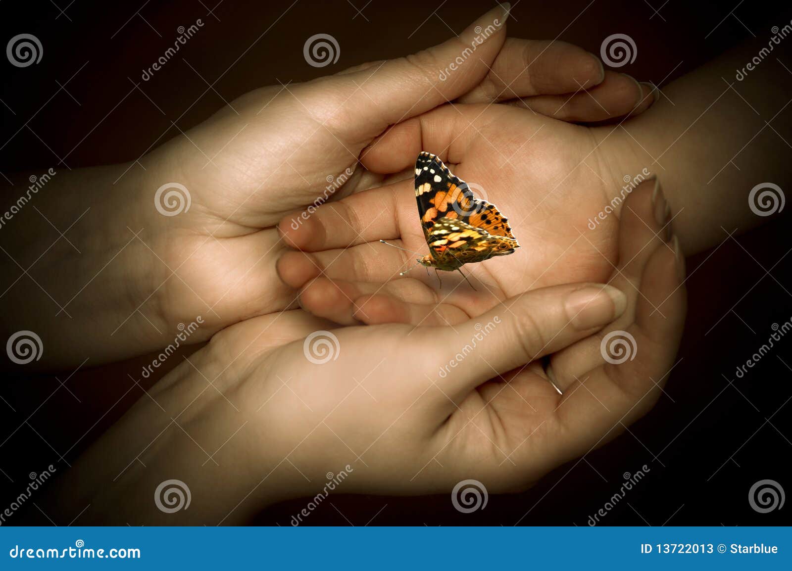 Protection and love stock image. Image of conceptual - 13722013