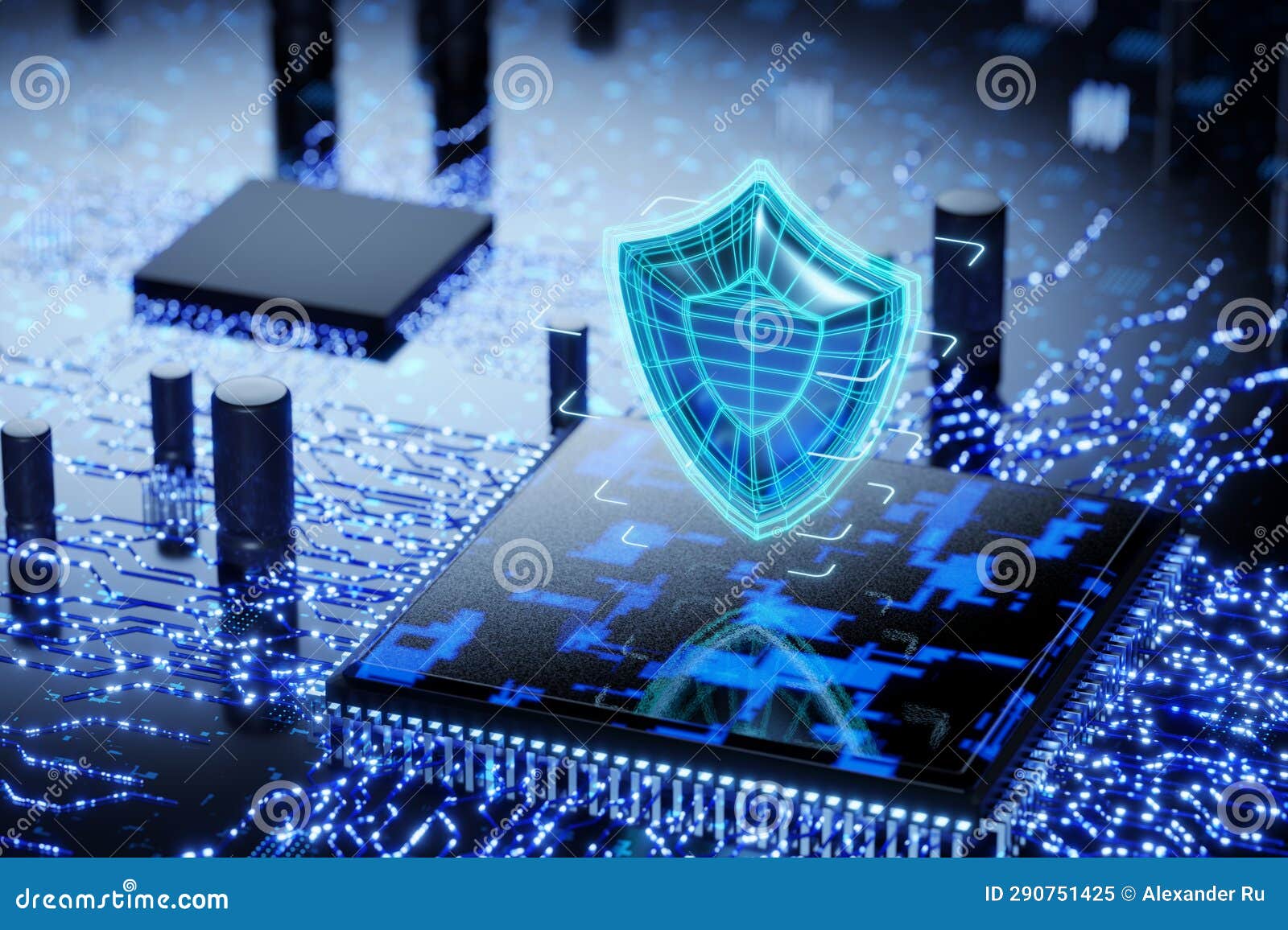 Protection of Personal Information. Internet for Business. Microchip ...