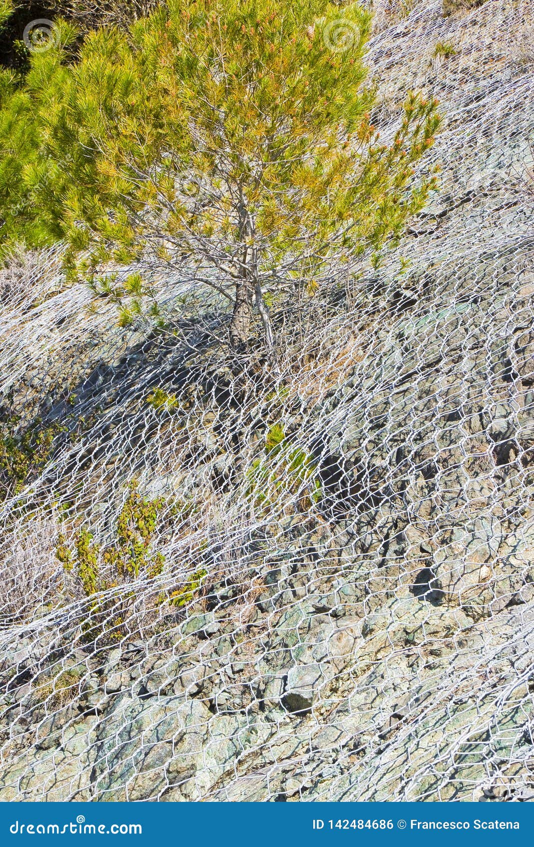 Protection Wire Mesh Against Falling Rocks from the Mountains Stock ...