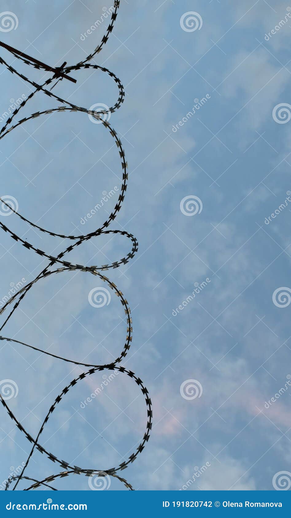 Protective Barbed Wire with Sharp Teeth, Vertically Stock Photo - Image ...