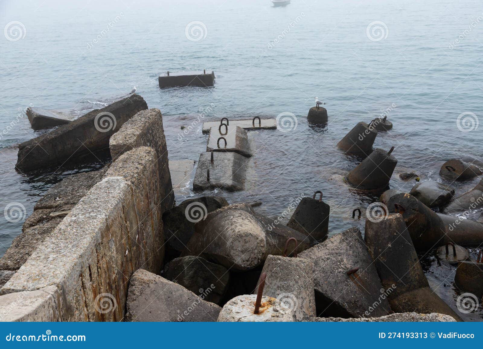 Protective Concrete Tetrapods Protecting From High Waves And Tsunamis ...
