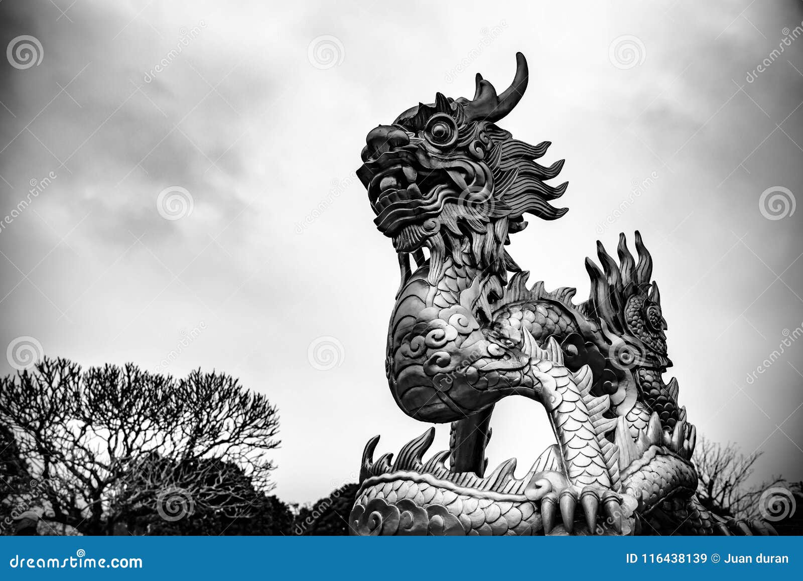 Protective dragon stock image. Image of dragon, landscape - 116438139