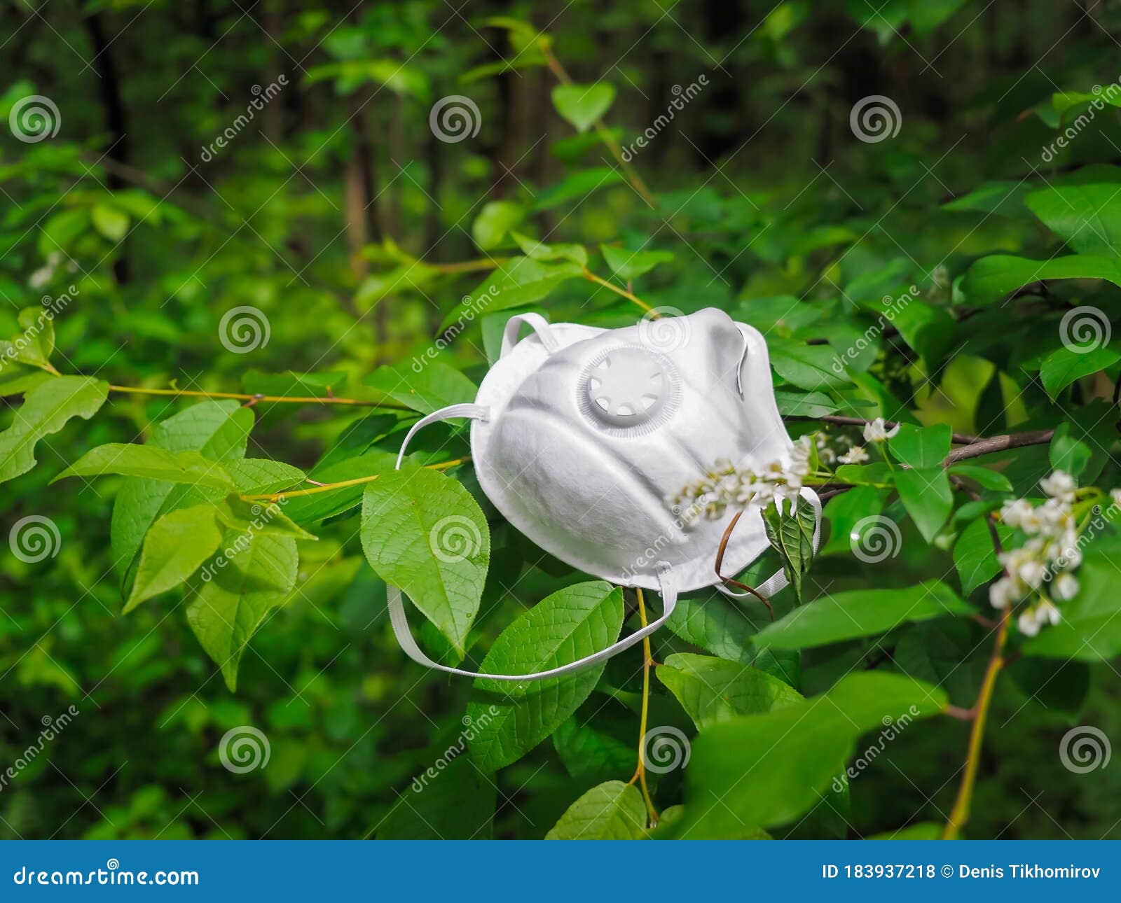 Protective Face Mask on a Tree Branch in the Forest. during the ...