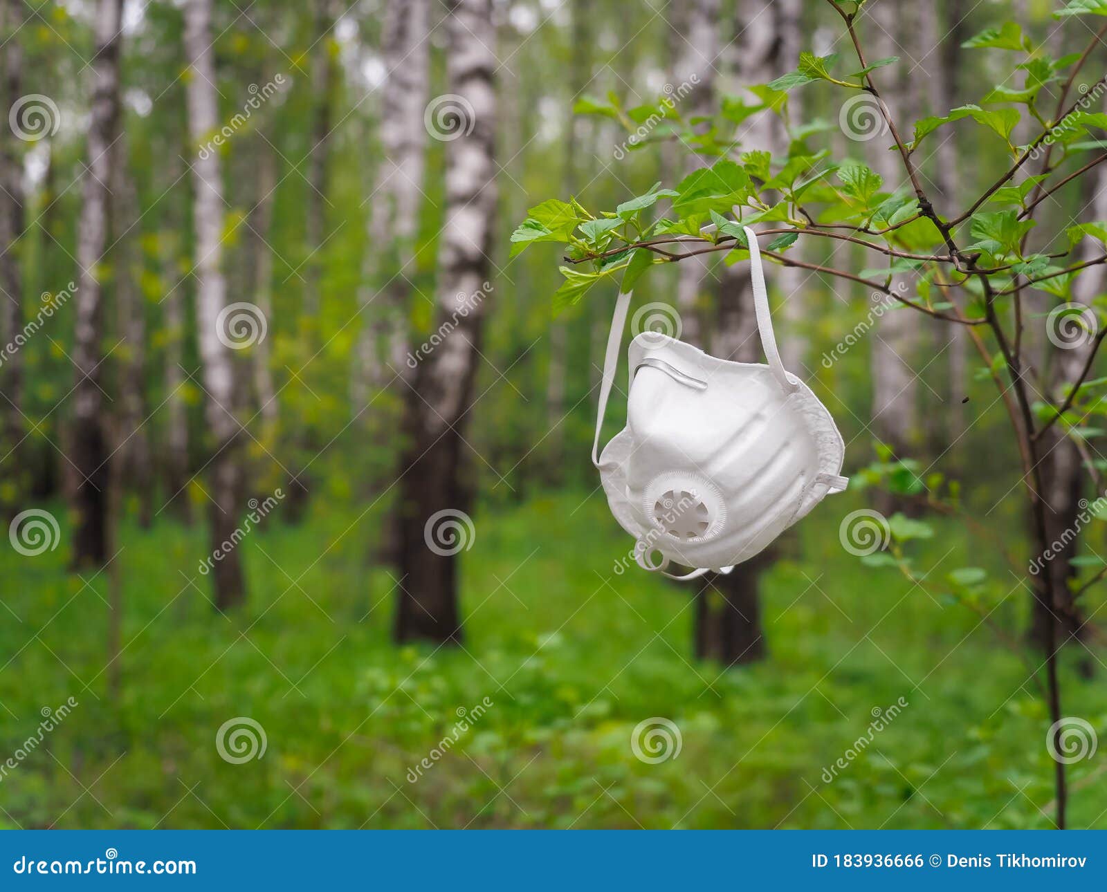 Protective Face Mask on a Tree Branch in the Forest. during the ...