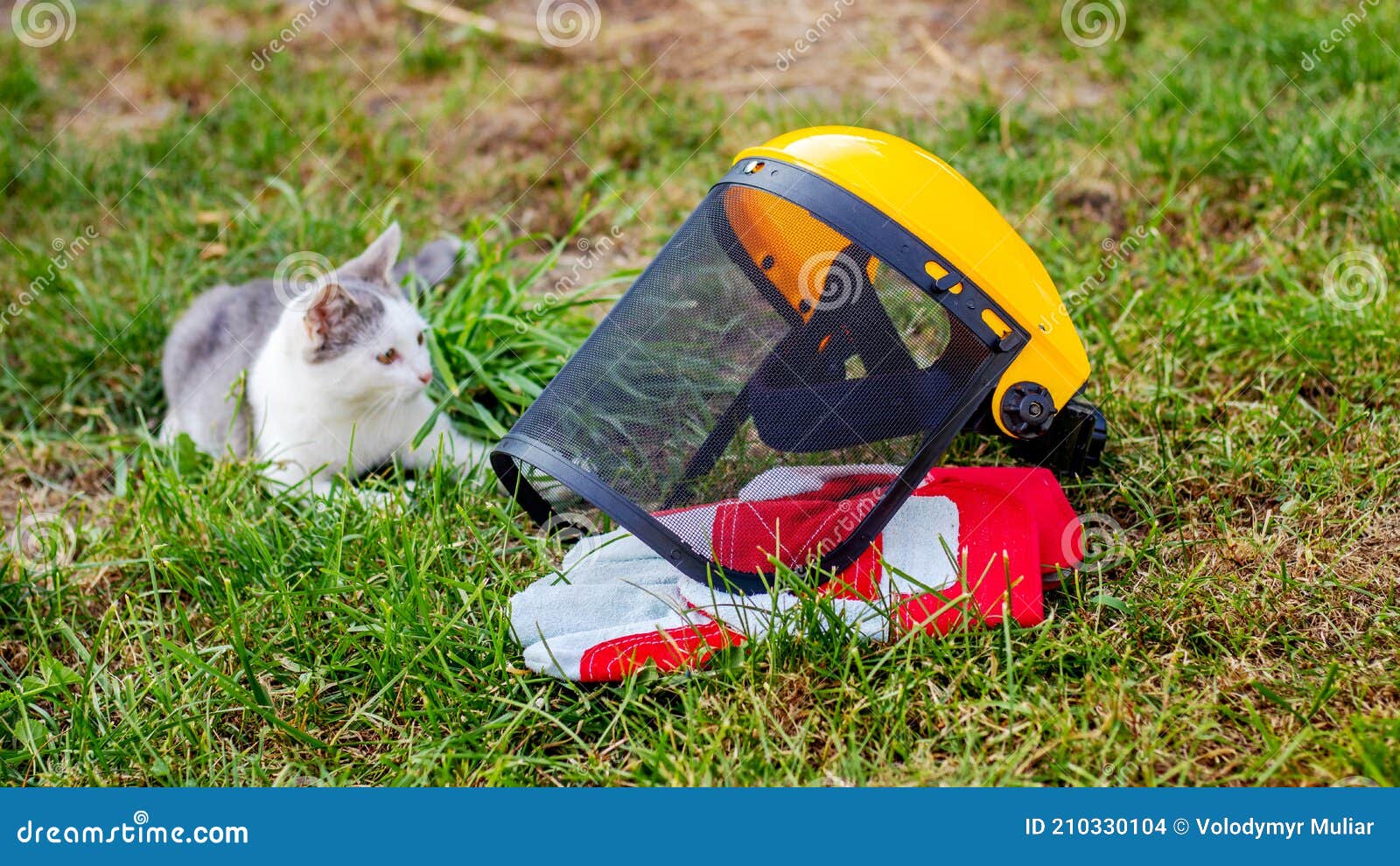 Protective Mask for Mowing Grass, Mittens and a Cat in the Garden on ...