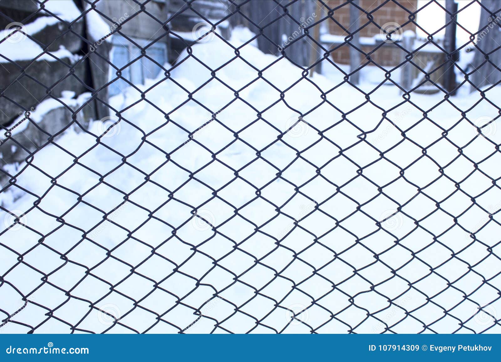 Protective Mesh. Wire Mesh on the Shed Stock Image - Image of abstract ...