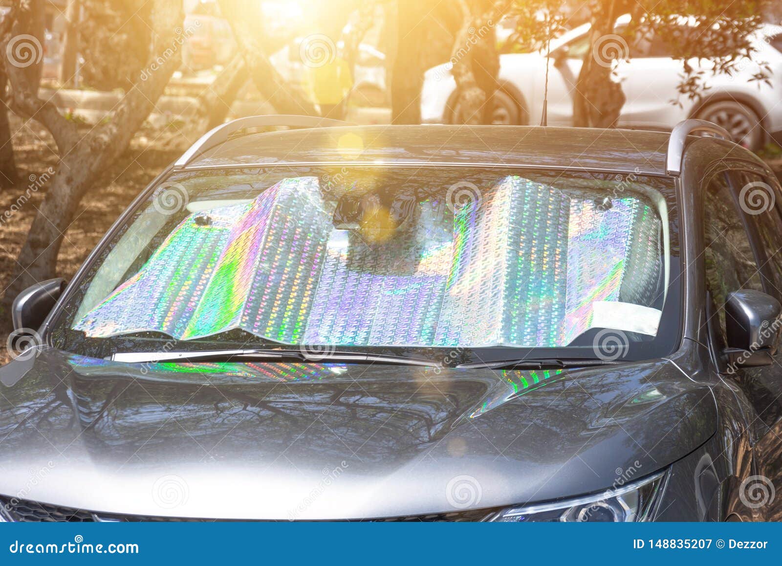 Protective Reflective Surface Under the Windshield of the Passenger Car ...