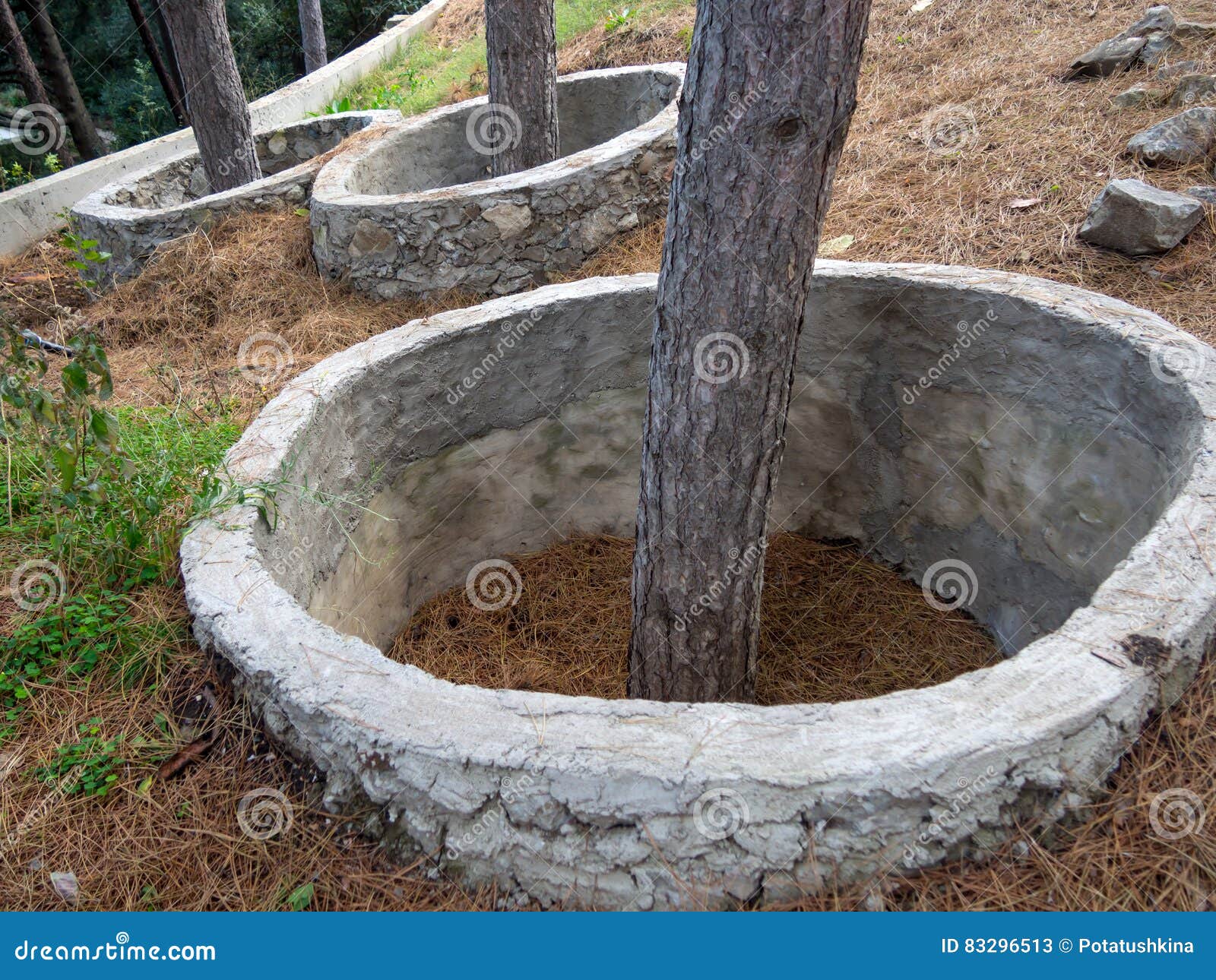 Protective Rings of Concrete Around the Trees Stock Image - Image of ...