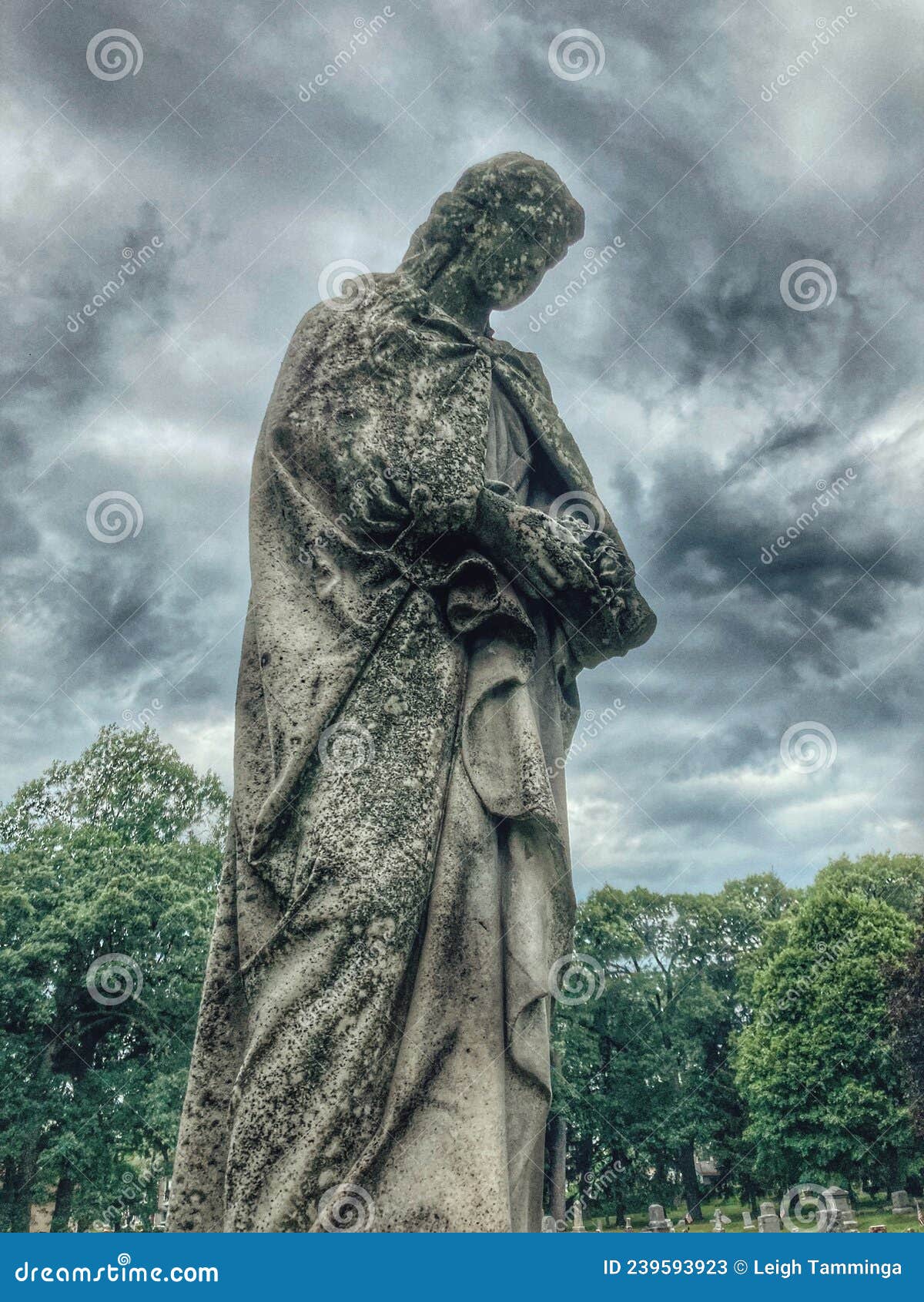The Protector stock image. Image of gothic, statue, protector - 239593923